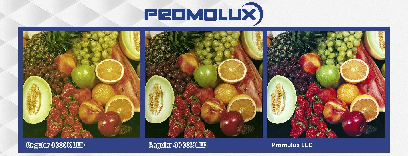 Home - Supermarket and Food Store Equipment & Design